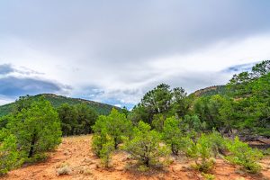 Mountain Homesteads | The Cliffs at Crystal Mesa
